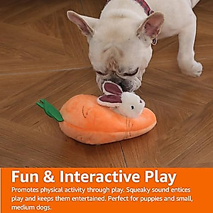 Amazon Basics Hide and Seek Squeaky Dog Plush Toy, Rabbit and Carrot, Orange and white, 5 Pack