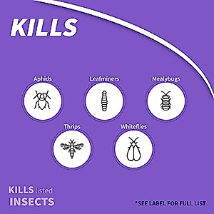 Bonide (BND951 - Systemic House Plant Insect Control, 0.22% Imidacloprid Insecticide (8 oz.), White (4)