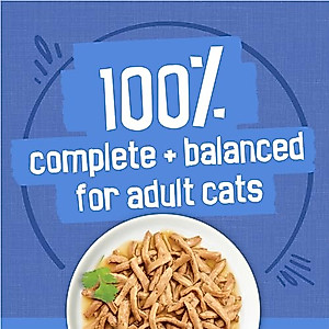 Purina Friskies Gravy Wet Cat Food Variety Pack, Savory Shreds - (Pack of 32) 5.5 oz. Cans