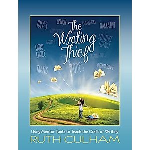 Writing Thief