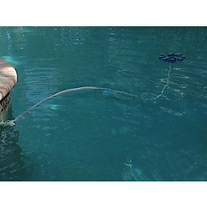 SkimmerMotion Cap Plug for Direct Connection to The Suction Port - The Automatic Pool Skimmer - Connect Direct in Your Pool Vacuum line