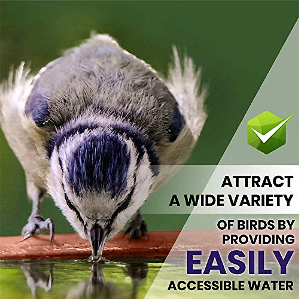 Erva D14CL 14 in. dia. Bird Bath Plastic Dish; Terra Cotta