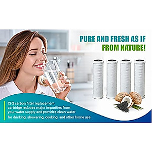 Compatible for CG5-10S Replacement DEV9108-17 Water Filters by CFS