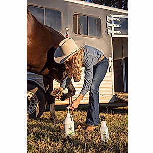 Draw It Out Liniment Gel - Veterinary Strength - Odorless and Colorless - Pain Relief Topical Analgesic Horse Cream for Joint and Muscle Pain - Natural Mineral - 64 oz