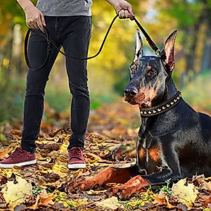 LWBMG Leather Dog Leash 6ft, Heavy Duty Dog Leash, Strong Durable Genuine Leather Braided Dog Leash, Soft and Comfortable Leather Leash for Large, Medium and Small Dogs Training