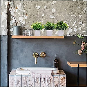 CADNLY Mini Artificial Plants Set - Faux Plants Indoor Small Fake Plants for Bathroom Office Desk - Green Plants Fake Potted Plants - Plastic Small Plants Decor for Shelf Shelves 3 Pack