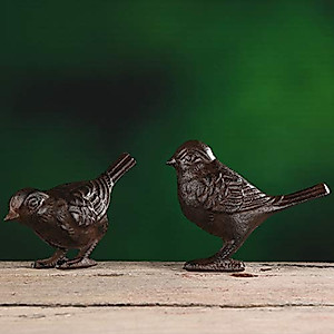 BRASSTAR Rustic Cast Iron Bird Statue Farmhouse Home Garden Decor Collectible Figurines Gift Replica Rust Color a Pair of Birds PTZD053