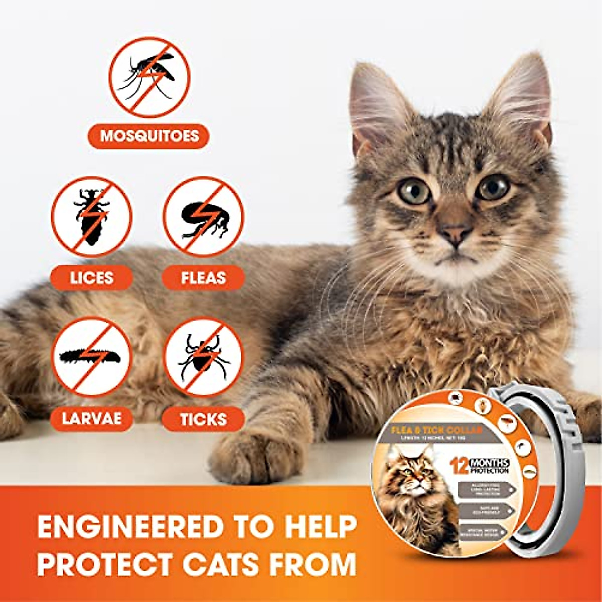 Parenda Cat Flea Collars 13 Inches - Flea Collars for Cats Fit Flea Treatment for Cats Lasting 12 Months - Waterproof Cat Flea Collar - Cat Flea Treatment 100% Natural Ingredients