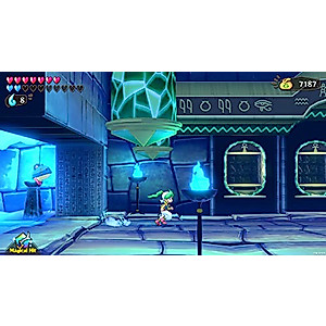 Wonder BOY ASHA in Monster World - PS4
