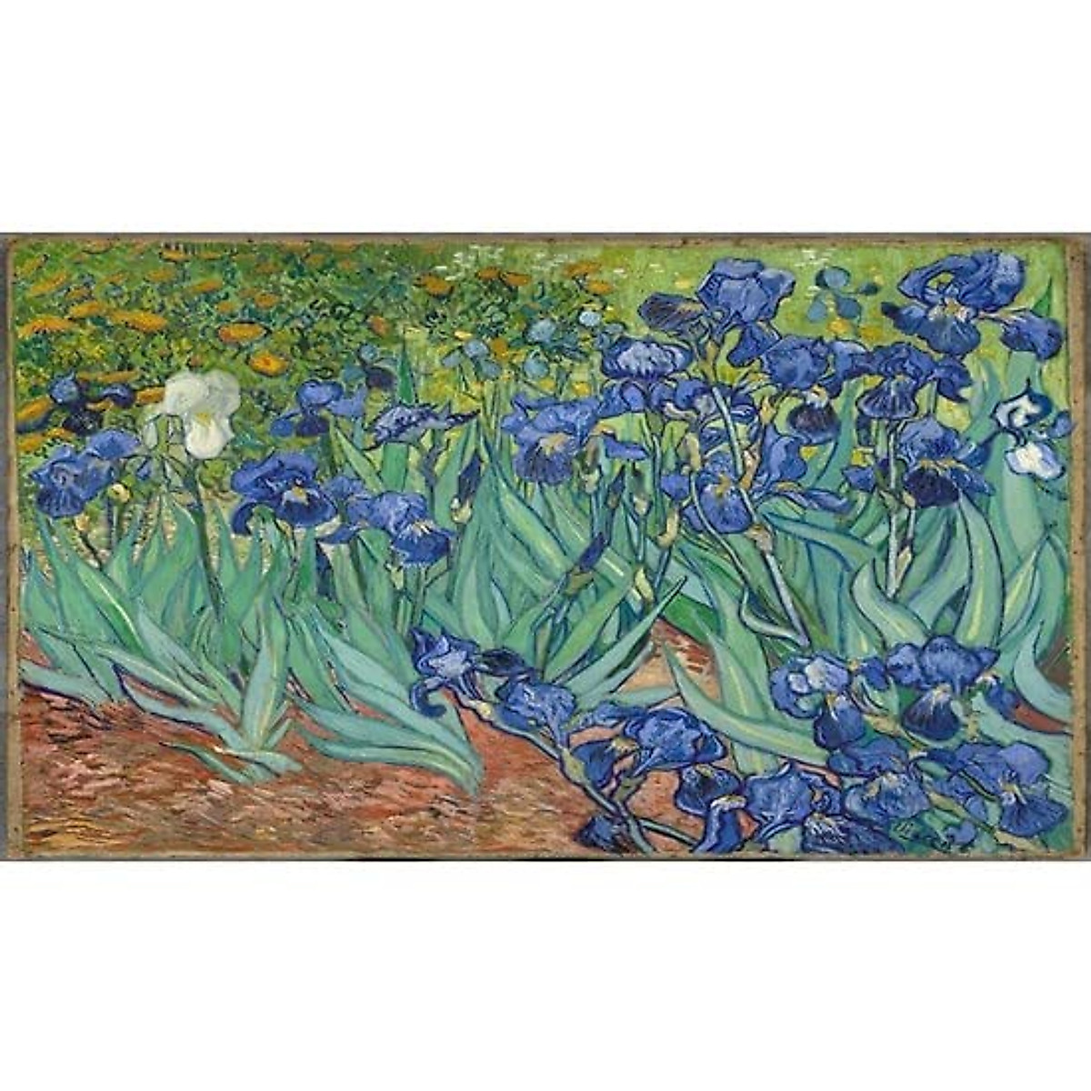 CafePress Vincent Van Gogh's Irises Mugs Ceramic Coffee Mug, Tea Cup 11 oz