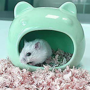 AmazeFun Small Pet Hideout Ceramic Adorable House Cozy Bed for Gerbils Hamsters Mice Mini Animals(Cyan)