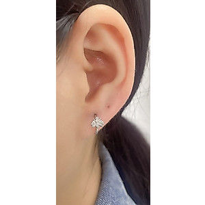 Cute 16G Bee Surgical Steel Hinged Clicker Helix Cartilage Daith Tragus Sleeper Small Hoop Earrings Nose Rings Hypoallergenic Sensitive Ears Dainty Cute Minimalist Tiny Mini Animal Huggie Hoops