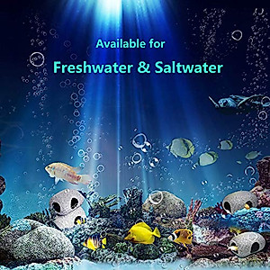 SpringSmart 2PCS Aquarium Hideaway Rocks for Aquatic Pets to Breed, Play and Rest, Safe and Non-Toxic Fish Tank Ornaments, Ceramic Decor Rocks for Betta