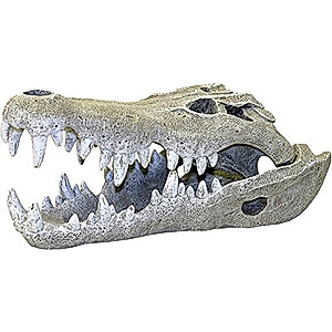 Exotic Environments Nile Crocodile Skull Aquarium Ornament, Small, 3-Inch by 6-Inch by 2-1/2-Inch