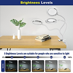 Delixike Magnifying Glass with Light and Stand, 3X Magnifier with Clam, Desk Magnifying Lamp for Crafting, Reading, Sewing, Hobbies, Close Work