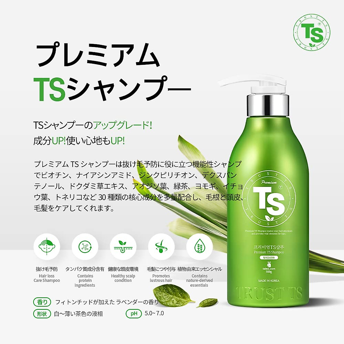 Premium TS Shampoo for Thinning Hair & Hair Loss Care(16.9 Fl Oz) | Best Korea Shampoo | LAVENDER Scent with Essential Oil & Biotin & Natural Ingredients | Men & Women