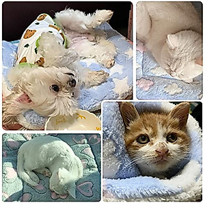 ROZKITCH 4 Pieces Guinea Pig Blanket Bed, Washable Hamster Bedding Pad for Small Animal, Soft Plush Fleece Mat for Sugar Glider Hedgehog Chinchilla Sleep Bed, Rabbit Cage Accessories 11.8 x 15.7inch