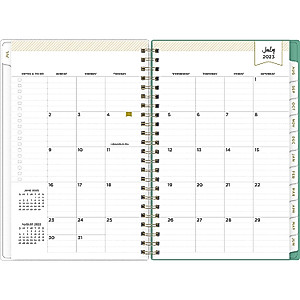 Blue Sky Day Designer for 2023-2024 Academic Year Weekly and Monthly Planner, 5' x 8', Frosted Flexible Cover, Wirebound, Palms (137892-A24)