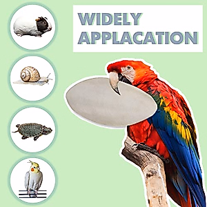 Jmxu's 5"-5.5" Bird Cuttlebone for Parakeets, Cuddle Bone with Metal Holder, Chewing Cuttlefish Bone for Sharp Beaks, Natural Birds Calcium Suitable for Parrots Cockatiels Budgie(6 Pack)
