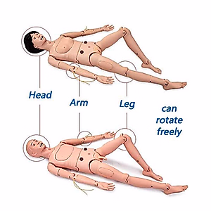 WFZY Training Manikin Model Mannequin Patient Education Teaching Model 170 cm PVC Anatomical Mannequin, Body Care Simulator Model for Nursing Medical Training Teaching
