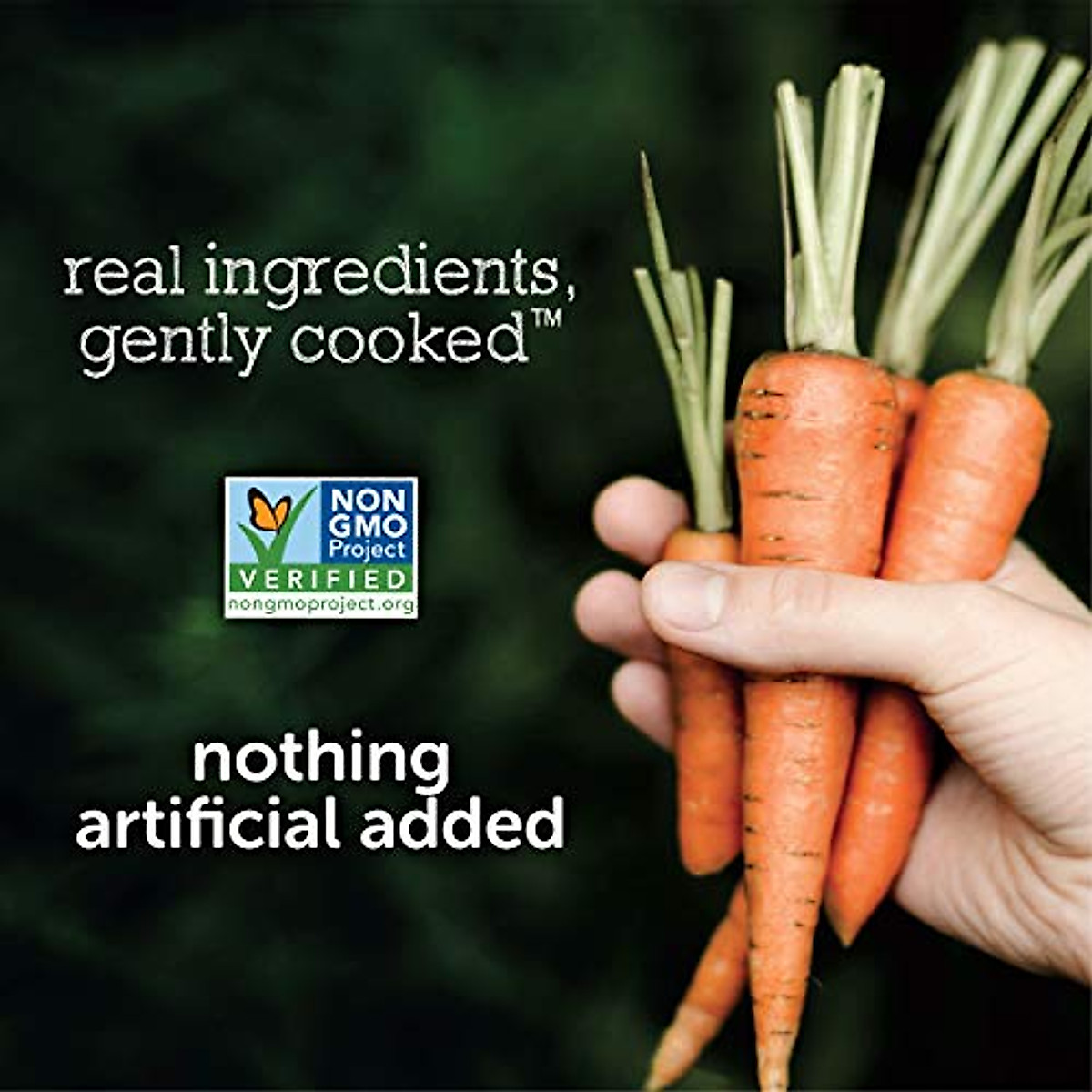 Beech-Nut Baby Food Jars, Veggie Variety Pack, 4oz, 12ct