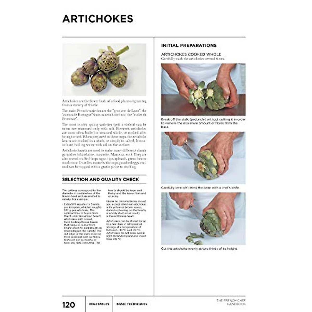 The French Chef Handbook: La cuisine de reference