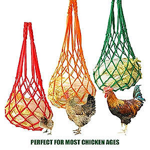 Roundler Chicken Veggies Skewer Fruit Holder Bag,Pet Chicken Vegetable Cabbage Snack Hanging Feeder Toy with Hook for Hens,Hen Toys for Chickens,Goose,Duck,Large Birds (Red+Green+Orange)