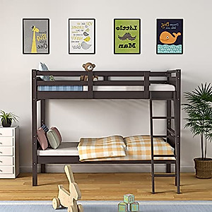 Giantex Twin Over Twin Bunk Bed, Solid Wood Twin Bunk Bed Convertible Into Two Individual Beds, Kids Twin Bunk Bed w/ Ladder & Guard Rail for Boys Girls (Espresso)