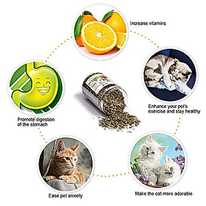 MR-BABULA Premium Natural Catnip, Selected Fresh Catnip Leaves & Bud (3OZ)