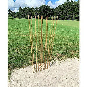 Dlh Western Natural Bamboo Poles, Eco-Friendly Plant Support Garden Stakes 4ft Long, Diameter of 3/8" (25-Count)