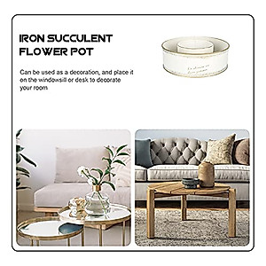 Happyyami 1pc Ring Flower Pot Metal Flower Planter Outdoor Planter Decorative Cute Flower Pot Table Plant Pot Succulent Pot Retro Planter vase Front Door White Small Cactus Iron Office