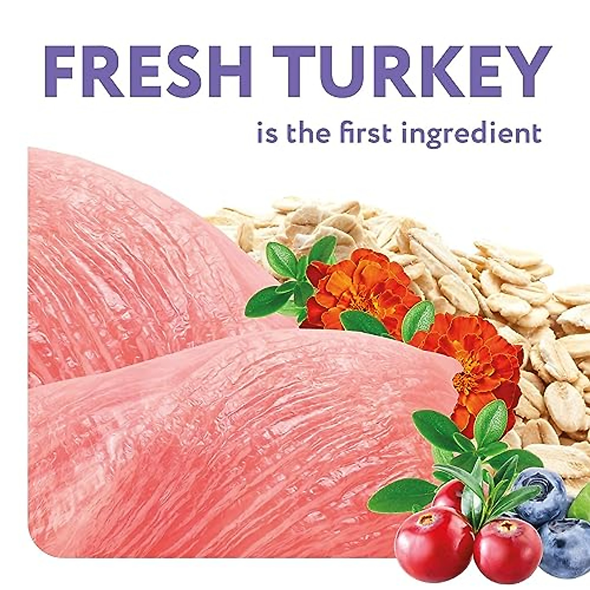 OPtimeal Weight Control Cat Food - Proudly Ukrainian - Cat Food Dry Recipe with Metabolism Support for Healthy Digestion, Tasty Dry Cat Food for Adult Cats (3.3 lbs, Turkey & Oatmeal)