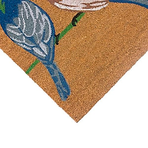 Liora Manne Natura Doormat Non-Slip Natural Fiber Outdoor Mat-Animal, Blue Birds Natural 2' x 3'