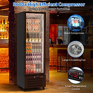 GarveeTech Commercial Display Refrigerator, 11.6 Cu Ft Beverage Refrigerator Display Fridge, Double-layer Glass Door Upright Merchandiser Drink Cooler with Adjustable Shelves & Drink Organizers