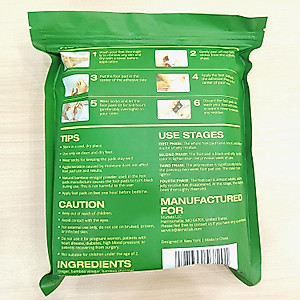 IKIMI 100 Ginger Foot Pads for Better Sleep, Stress Relief and Foot Care - Bamboo Vinegar and Wormwood Powder Patches