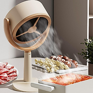 Generic Lorivu Smoke Purifier,Lorivu Portable Smoke Purifier,Indoor Kitchen Mini Fan Portable Range Hood,Lorivu Smoke Purifier for Smoking Indoors, (Plug-In Model)