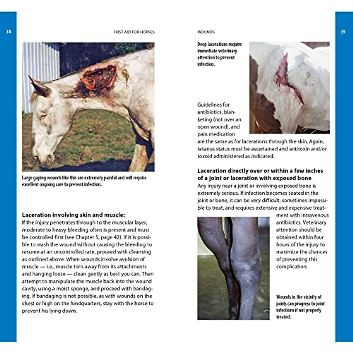 Dr. Kellon's Guide to First Aid for Horses: A Quick and Easy Reference to Conditions That Require Emergency Treatment