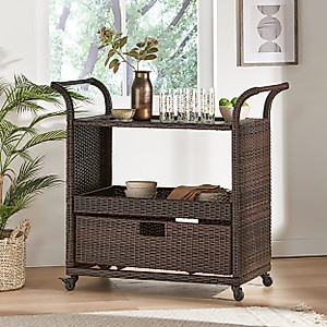 Christopher Knight Home Azriel Indoor Wicker Bar Cart, Multibrown