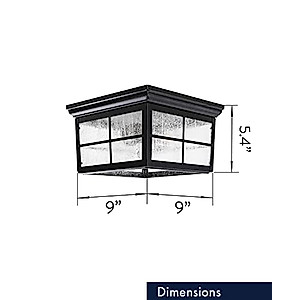 CORAMDEO French Pane Square 2 Light Ceiling Mount Farmhouse Fixture, Indoor or Outdoor, Two Standard Sockets, Open Bottom, Damp Location, Black Powder Coat Finish with Seedy Glass
