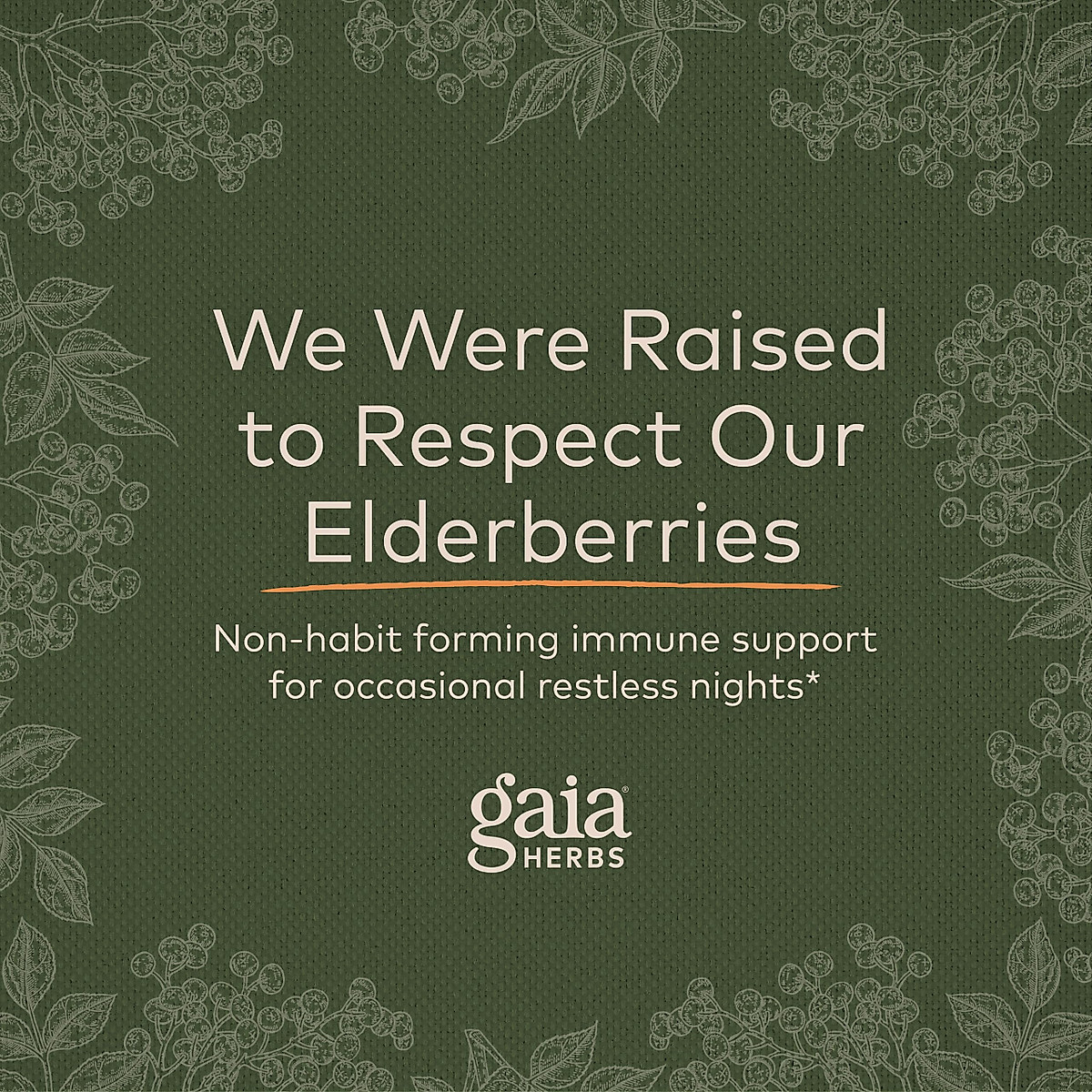 Gaia Herbs Black Elderberry, NightTime Syrup - Immune Support Supplement - With Organic Black Elderberries, California Poppy & Lemon Balm for Restful Sleep & Immune Defense - 5.4 Fl Oz (32-Day Supply)