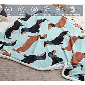 Famitile Dachshund Blanket, Wiener Dogs Throw Blanket, I Love Dachshunds Soft Flannel Dachshund Stuffed Animal Blankets Dachshund Gifts for Women (Dachshund 1, 47" x 60")