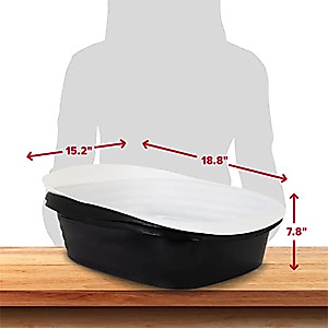 Arm & Hammer Large Sifting Litter Box with Microban for Odor Control (Scoop Free Cat Litter Tray)