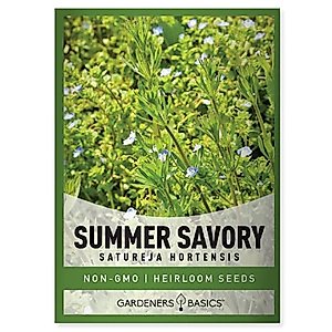 Summer Savory Seeds for Planting is A Heirloom, Non-GMO Herb Variety- Satureja Hortensis Herb Seeds Great for Indoor, Outdoor, Hydroponic Gardening by Gardeners Basics