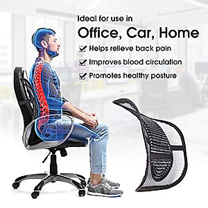 Teraves Lumbar Support for Office Chair, Car Seat or Home Chair, Double Breathable Mesh Back Support Cushion for Driving Comfort and Posture Support
