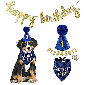 ENJOYING Pet Dog Bandana Doggy Birthday Party Supplies Plaid Dog Bandanas Scarf Pet Birthday Hat with Number for Small Medilum Dogs and Cats, Blue