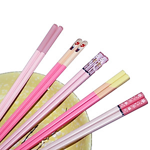 5 Pairs Fiberglass Chopsticks Pink Japanese Korean Chopsticks Reusable Non-Slip Chopsticks Dishwasher Safe, 9.6 Inches Long, 5 Patterns