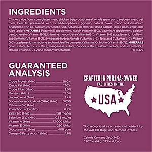 Purina ONE Plus Healthy Puppy Formula High Protein Natural Dry Puppy Food with added vitamins, minerals and nutrients - 16.5 lb. Bag