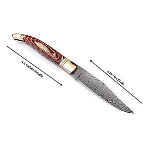 Damascus steel folding knife with leather sheath, 8.5 inches long laguiole pocket knife with 4 inches long Damascus steel Blade, 4.5 inches multi color wood scale with Brass bolster and pommel, Leather sheath included (Brown)