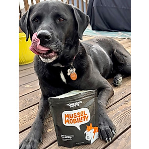 Homescape Pets Mussel Mobility - Green Lipped Mussel & Turmeric for Dogs - Hip & Joint Pain Relief Anti-Inflammatory Meal Topper Powder - Better Mobility, Less Stiffness and Aches - Vet Recommended