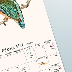 Wall Calendar 2024 12" x 12" FSC® Plastic Free - Starts Week On Sunday | Square Wall Calendar 2024 | Family Planner Calendar 2024 | 2024 Calendar (Birds 2024)